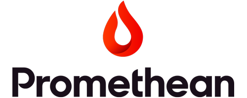 Webcast - THE PROMISING REALITY OF AI